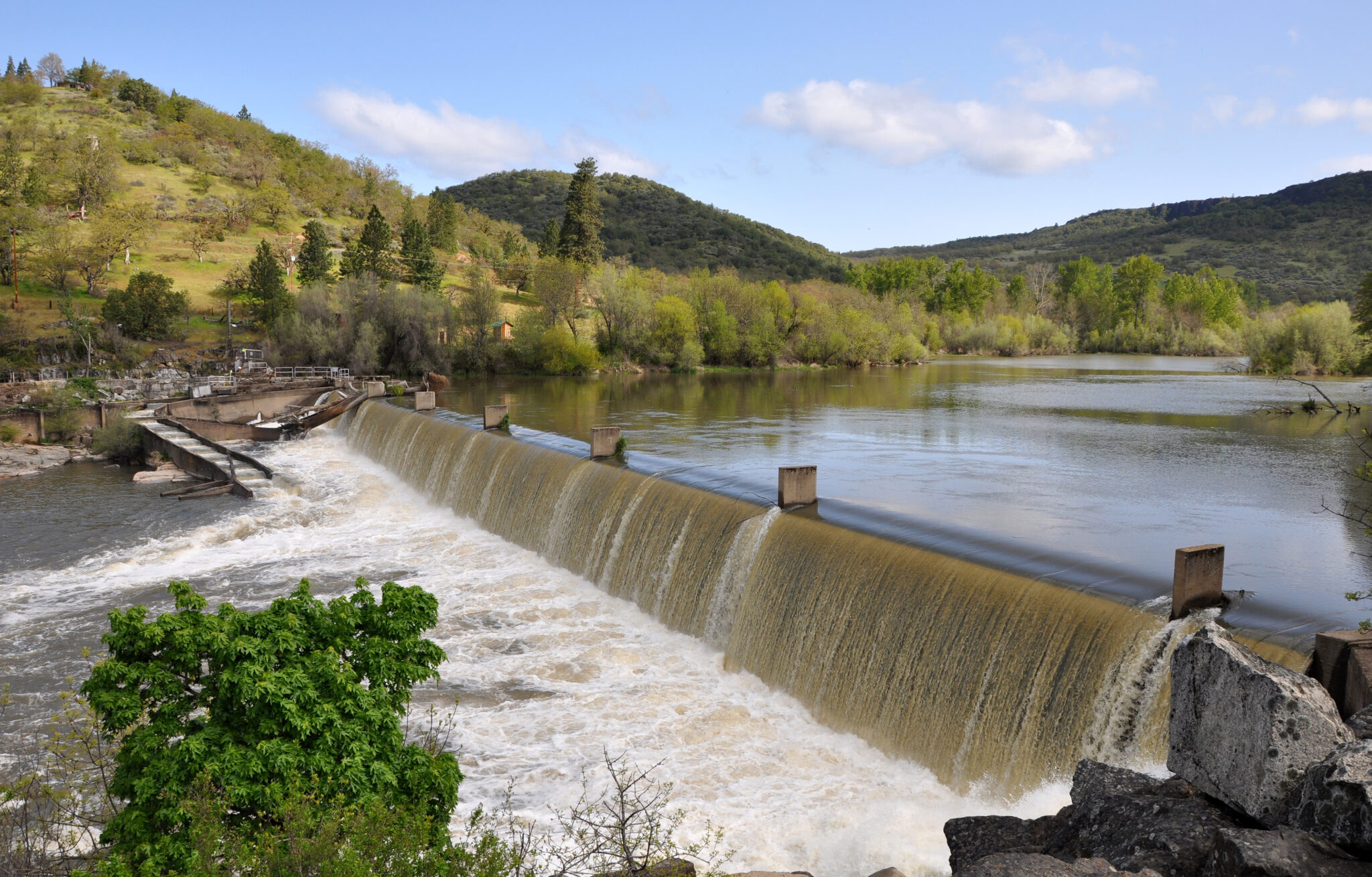 Gold Ray Dam Removal Bids Hit Right Note - WaterWatch
