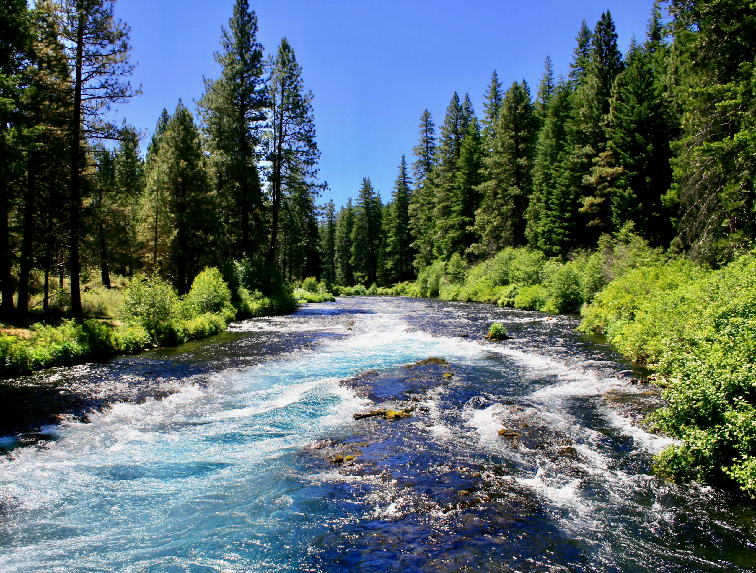 Support WaterWatch and Oregon Rivers on Sept. 23rd – WaterWatch