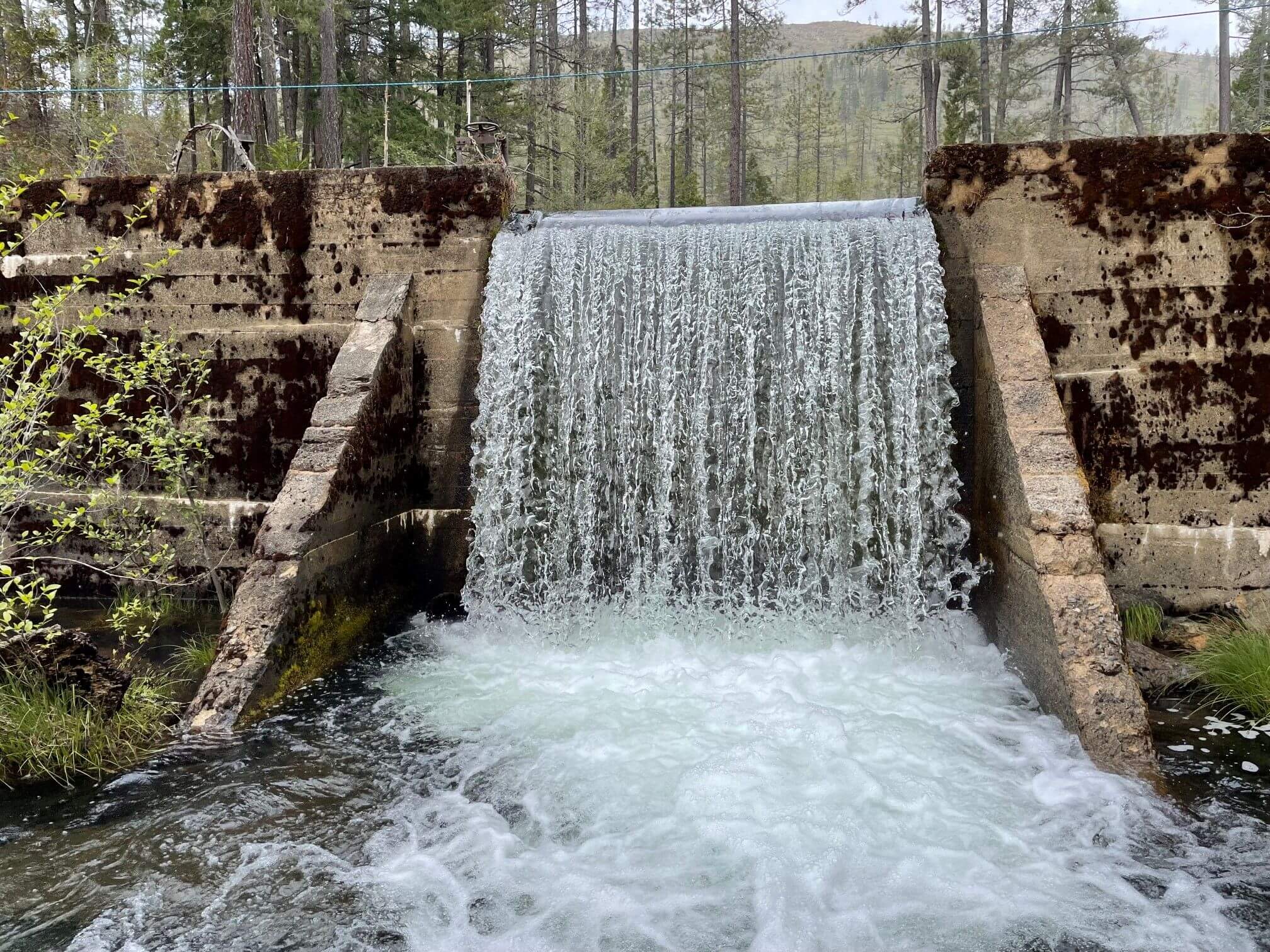Fish-Blocking Dam Removed from Takelma Ceek at Ranch Frequented by John ...