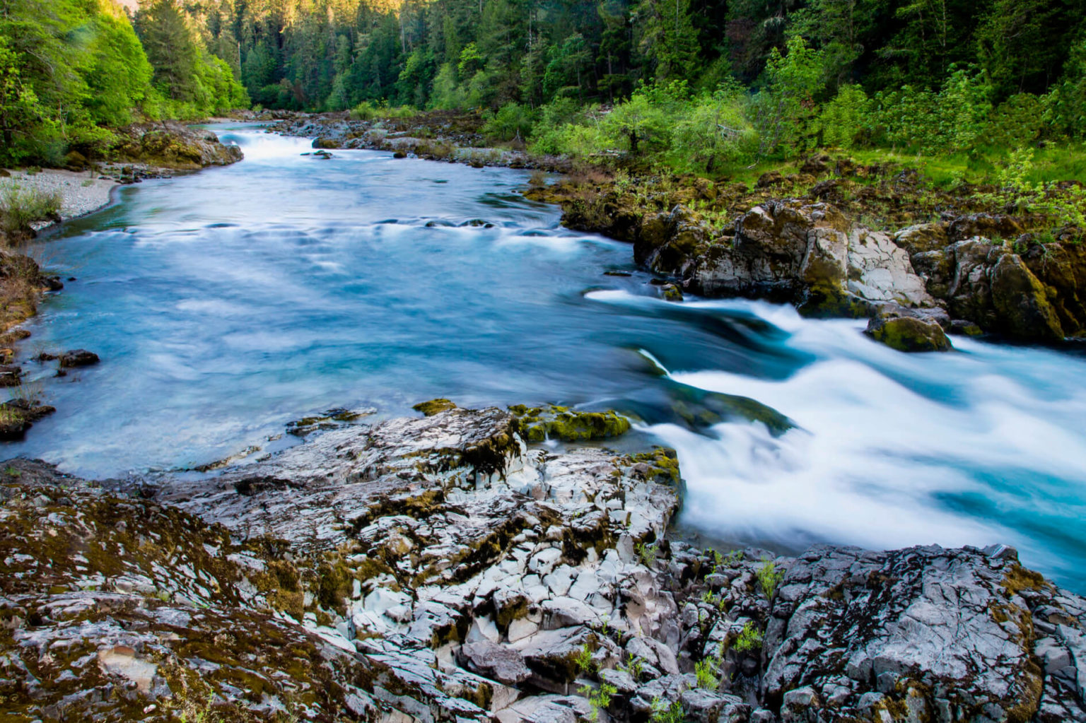 Support Our Work to Defend Instream Water Rights - WaterWatch