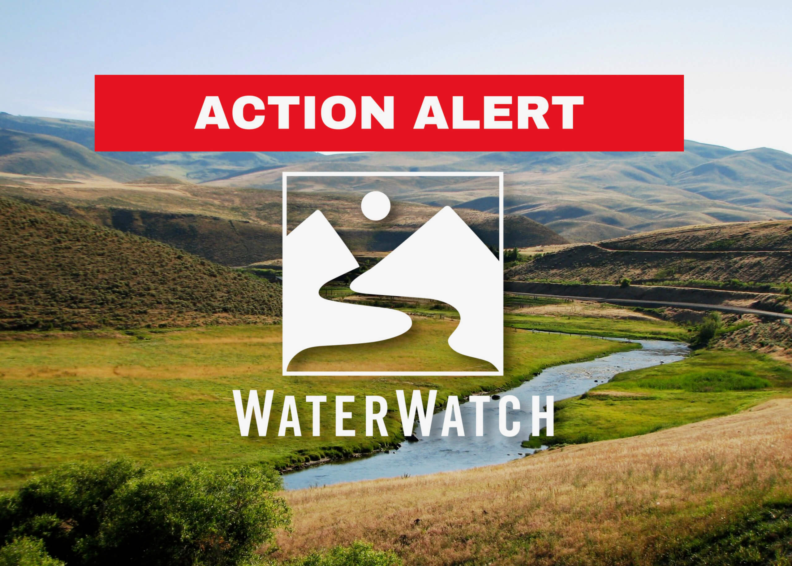 WaterWatch Action Alert— Support the Powder River