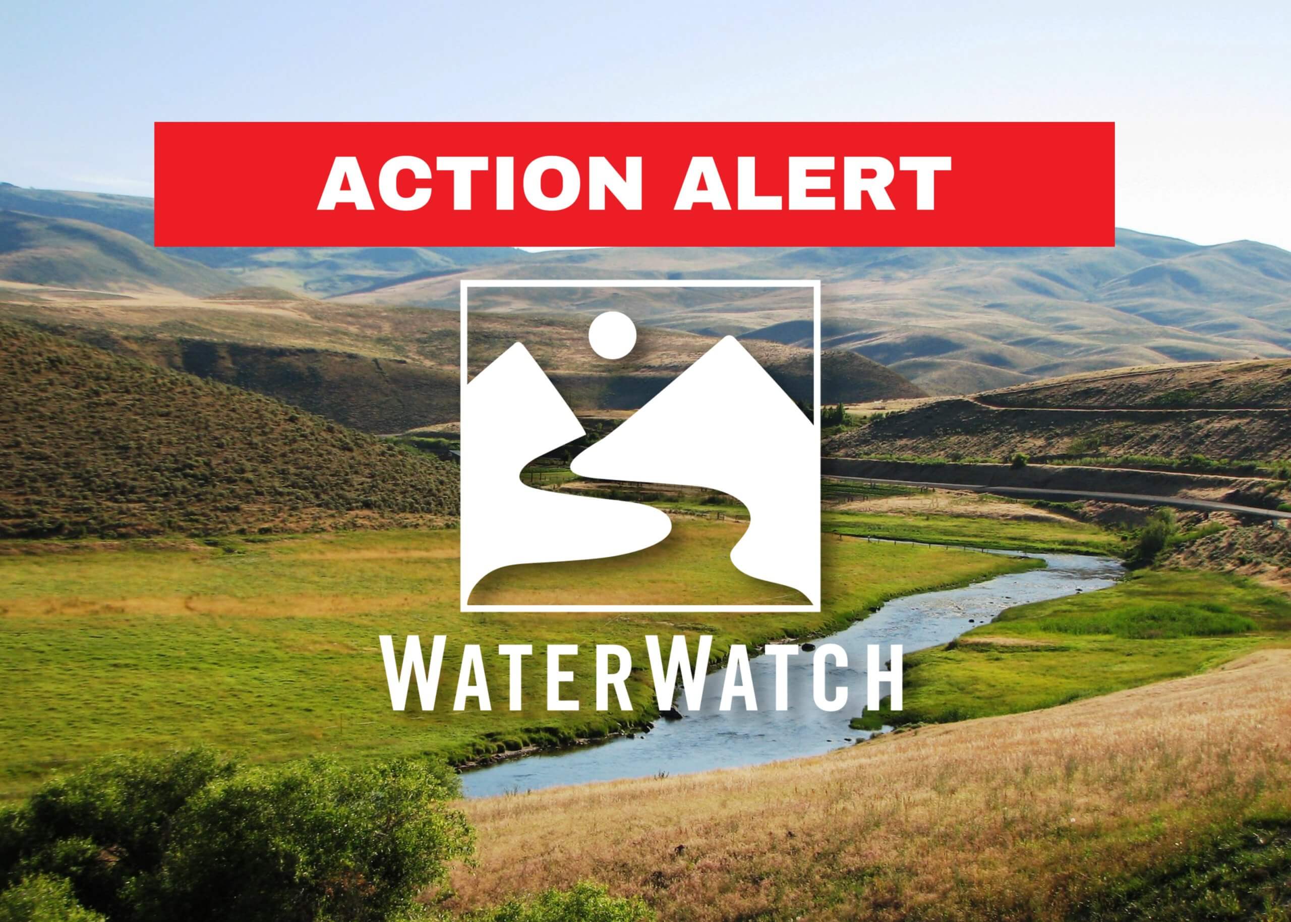 Press | WaterWatch