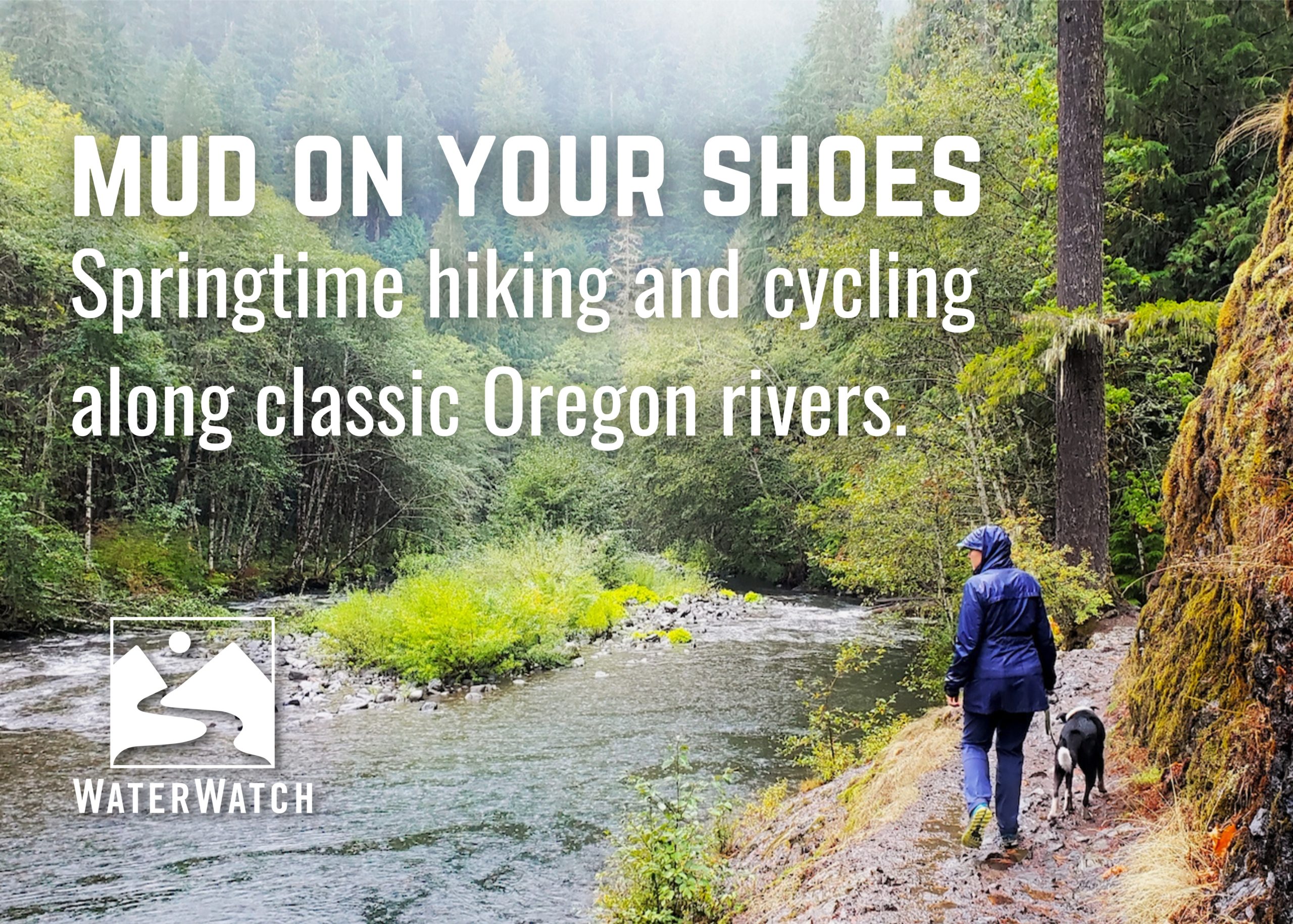 Springtime River Hikes and Cycling Outings Around Oregon - WaterWatch