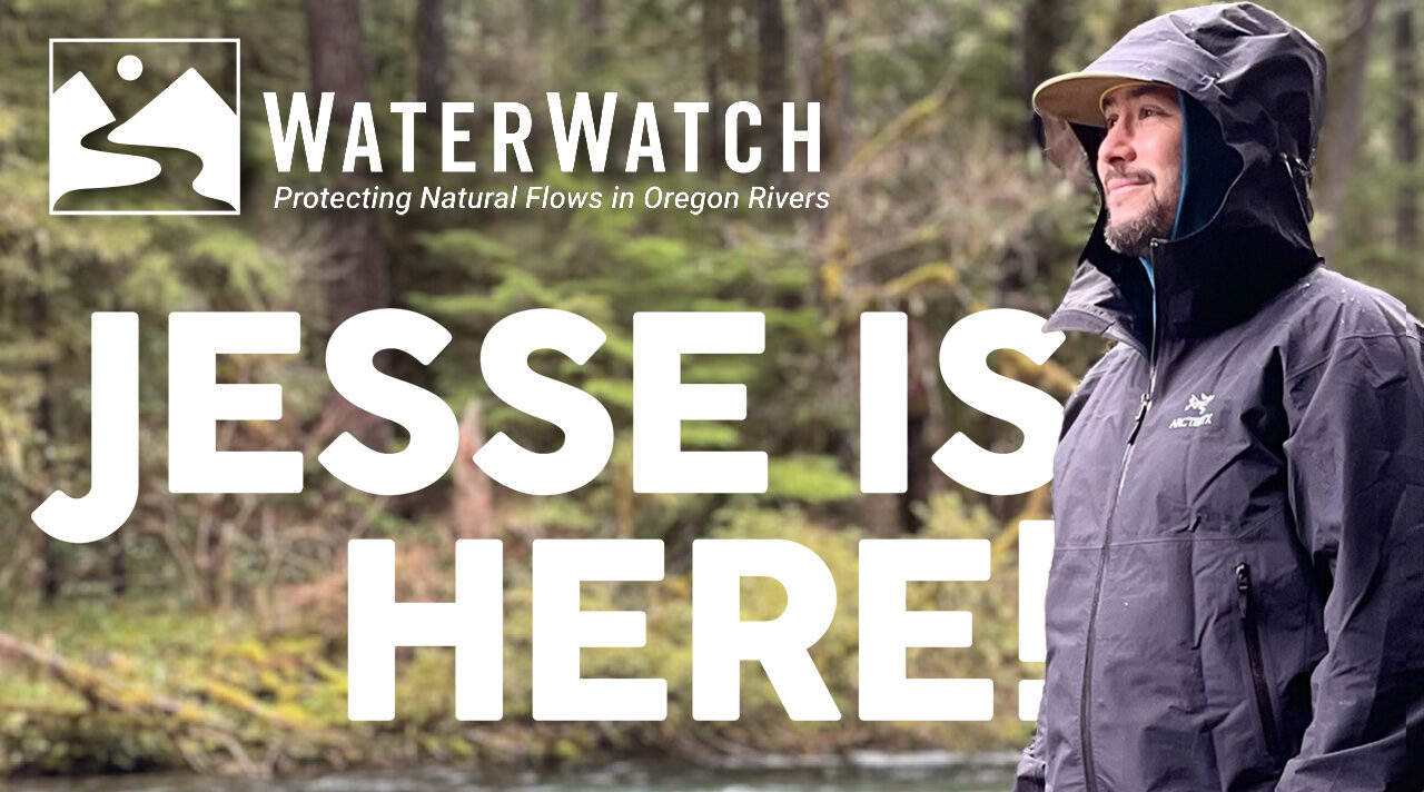 Welcome WaterWatch Development Officer Jesse Robbins - WaterWatch