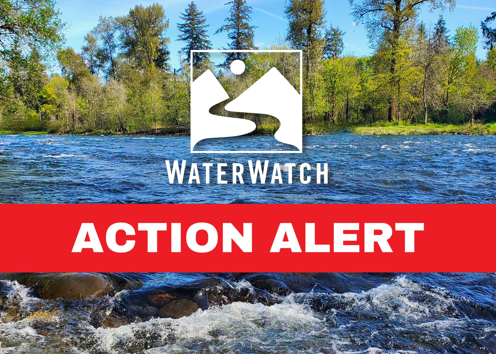 Support New Instream Water Right Applications in Willamette River ...