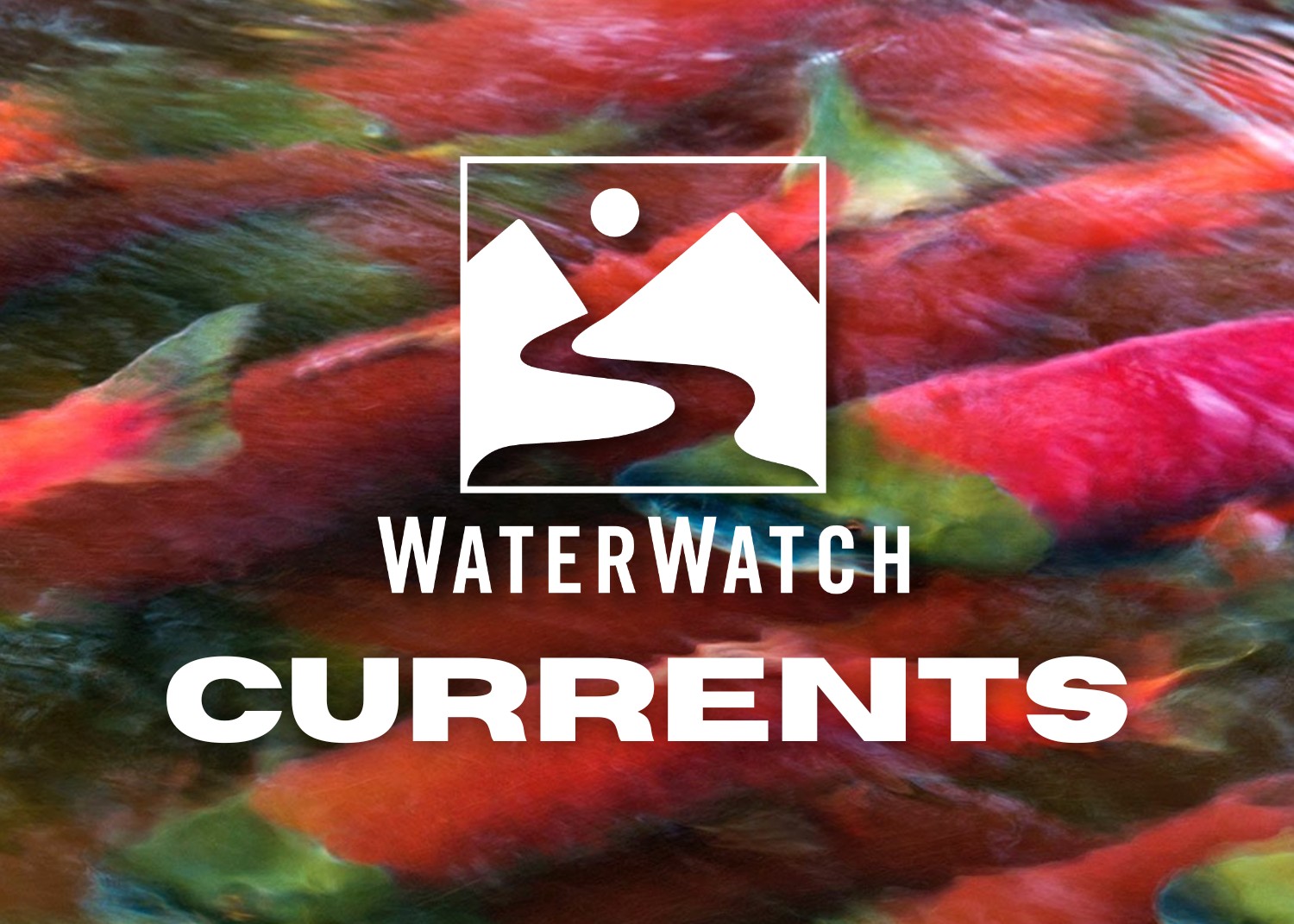 Currents - WaterWatch
