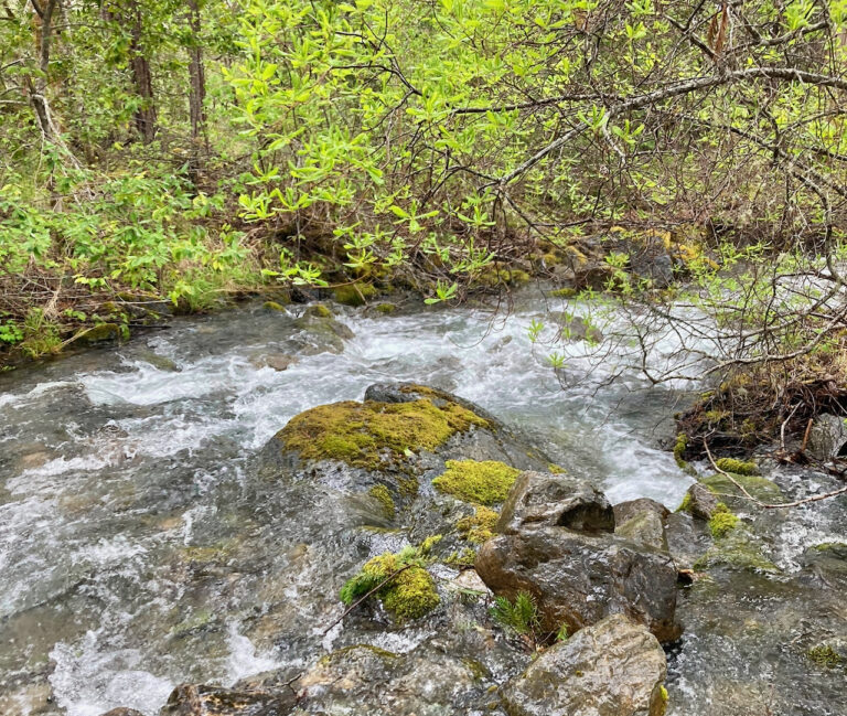 WaterWatch-Led Fish Barrier Removal Project Wins Award - WaterWatch