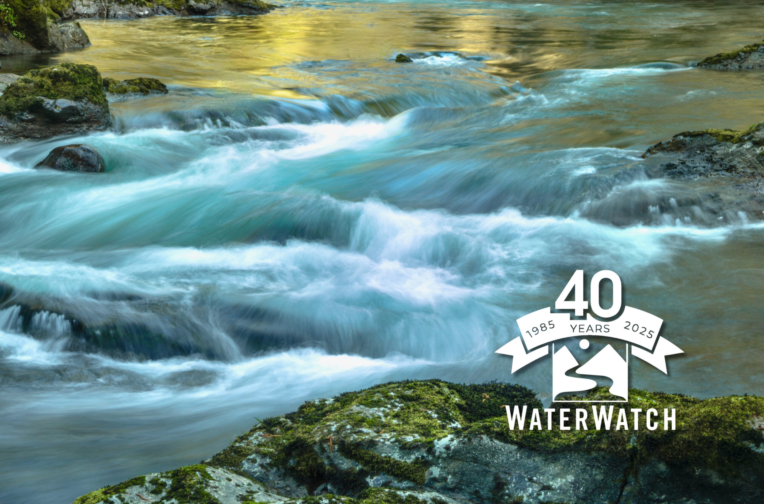 Instream: Celebrating Four Decades of Success - WaterWatch