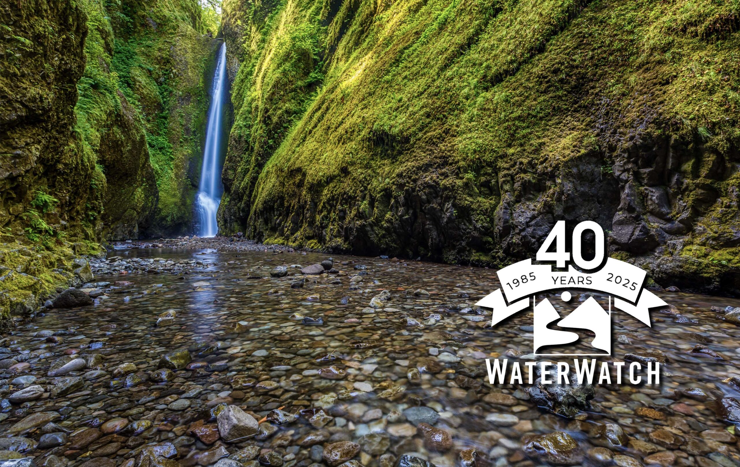 Critical Support Needed for Rivers This Earth Day - WaterWatch