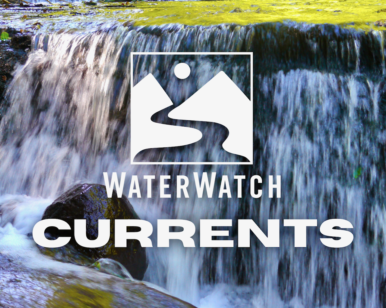 WaterWatch of Oregon - WaterWatch