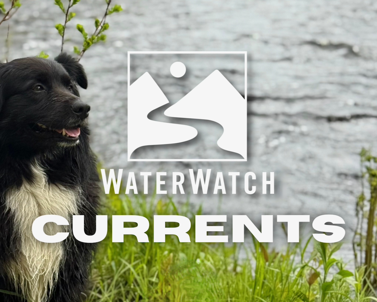 WaterWatch of Oregon - WaterWatch