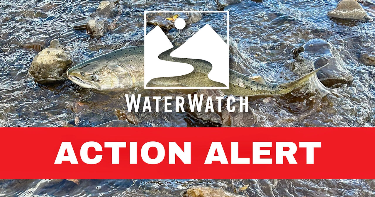 Take Action Now to Support HB 2977 for Oregon’s Fish and Wildlife ...