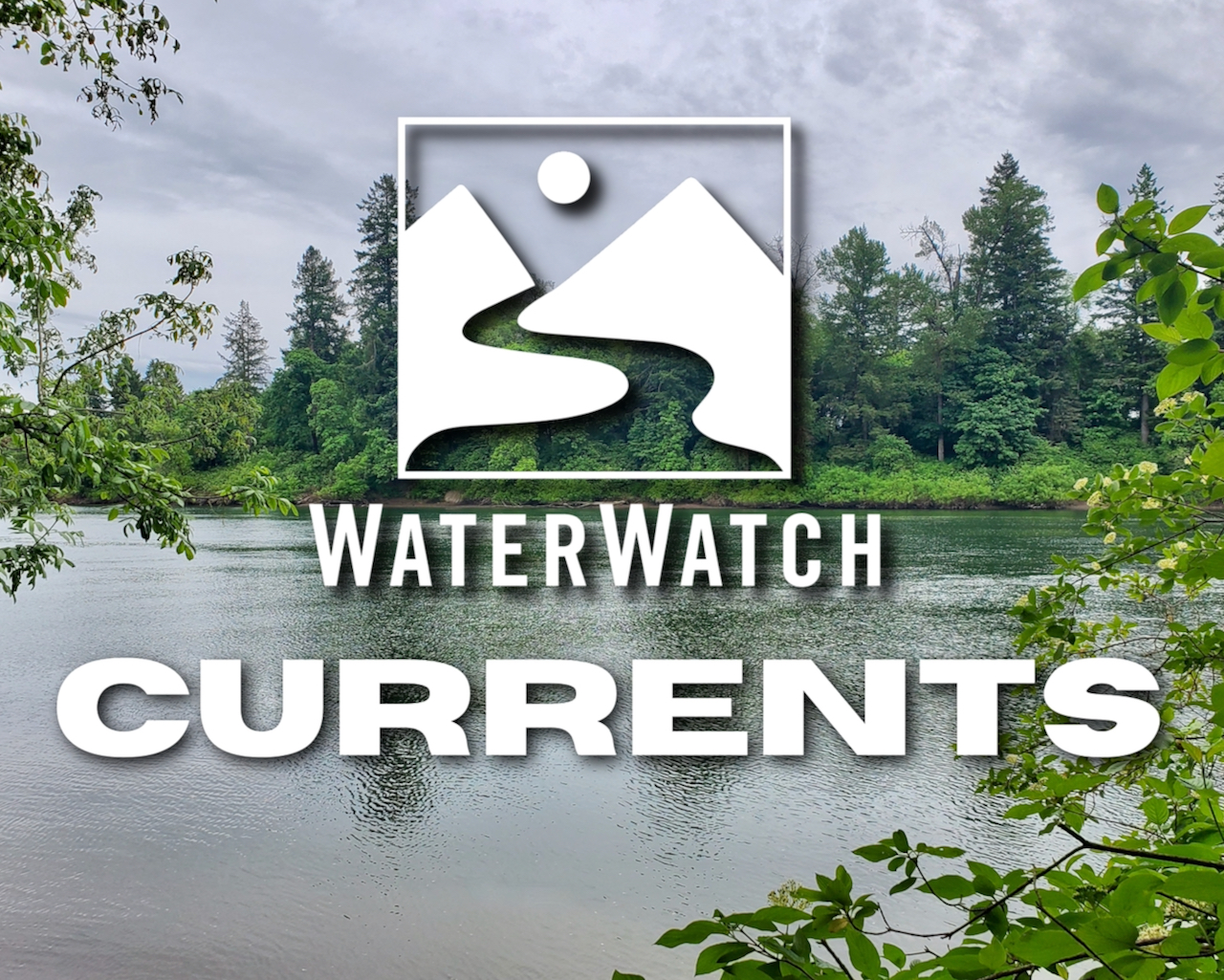 WaterWatch of Oregon - WaterWatch