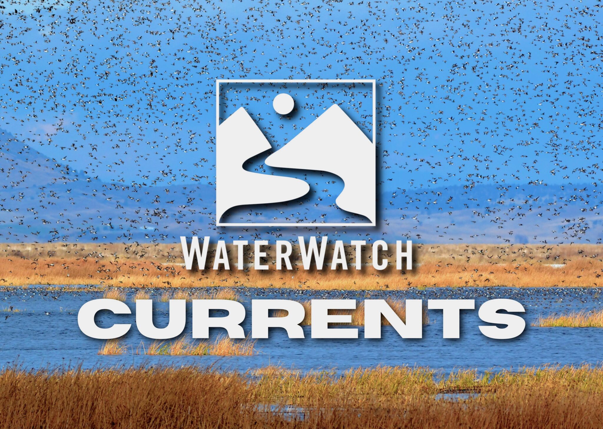 Currents - WaterWatch