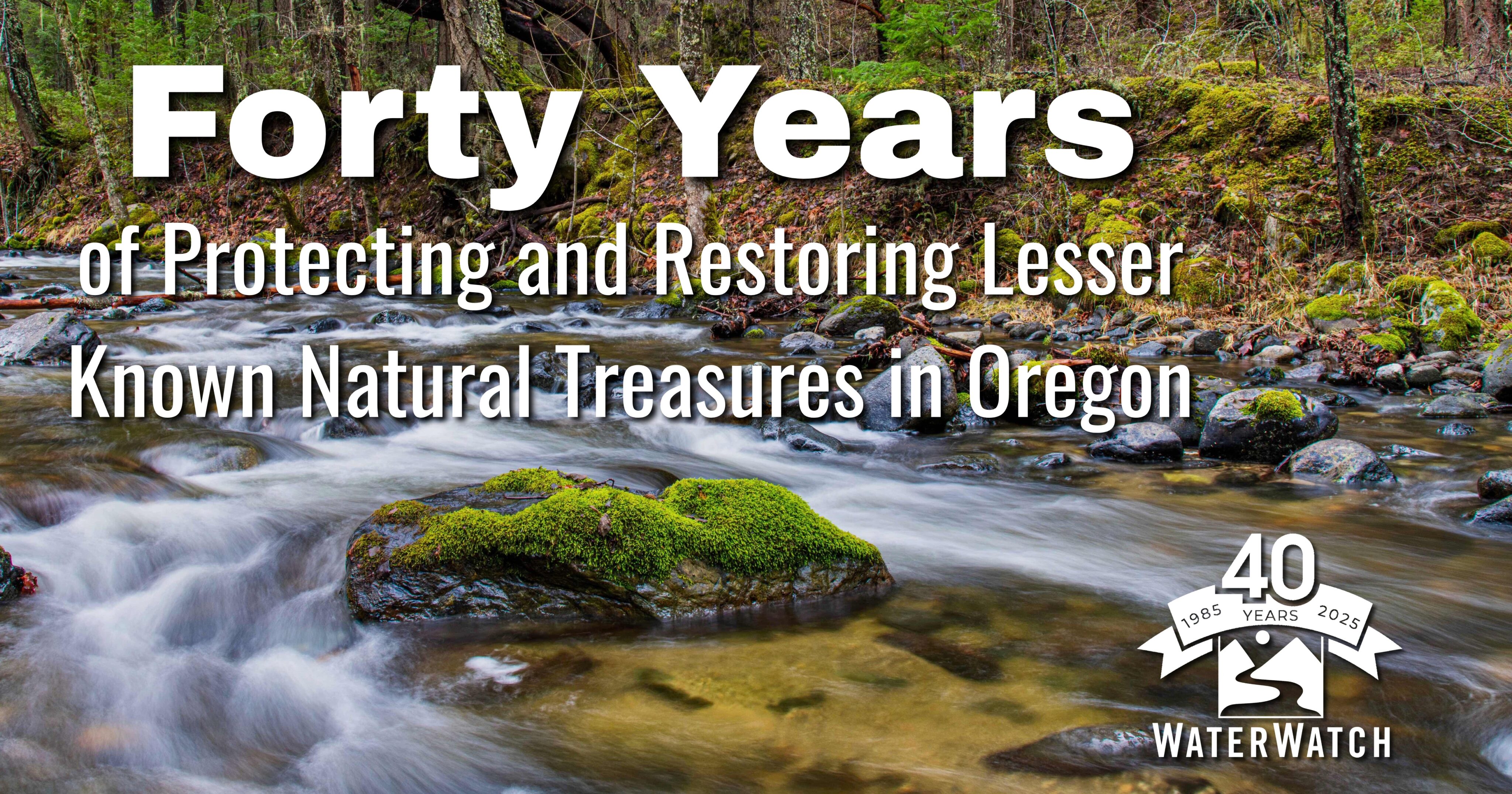 Forty Years of Protecting and Restoring Lesser-Known Natural Treasures ...