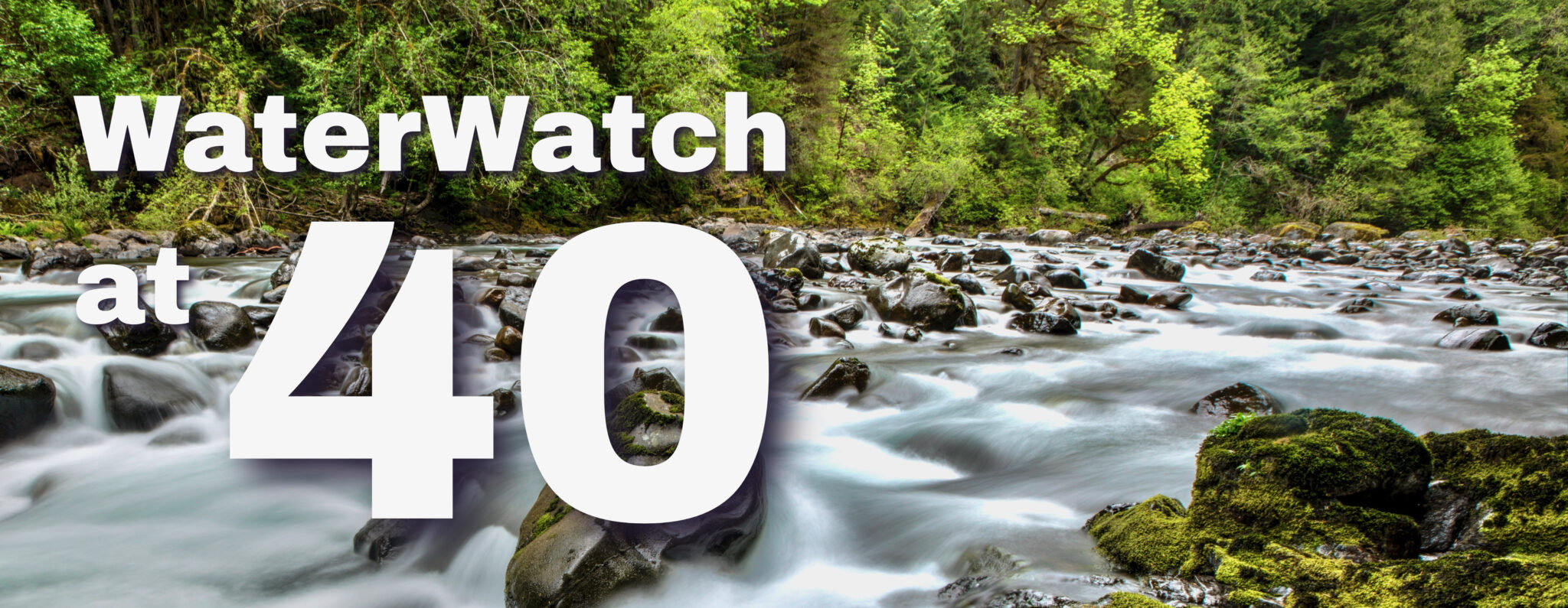 WaterWatch at 40 - WaterWatch