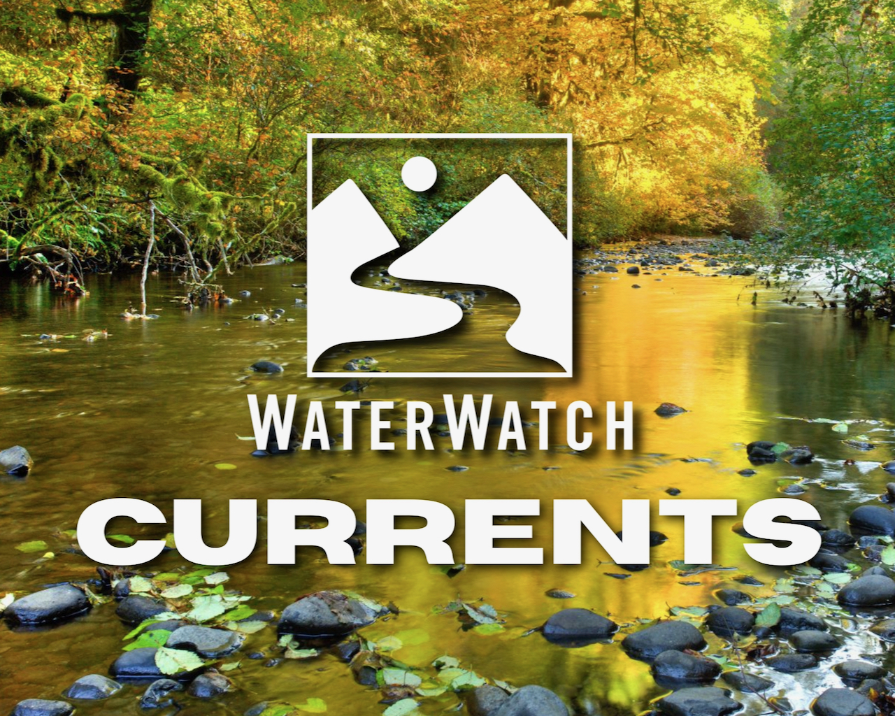 WaterWatch of Oregon - WaterWatch