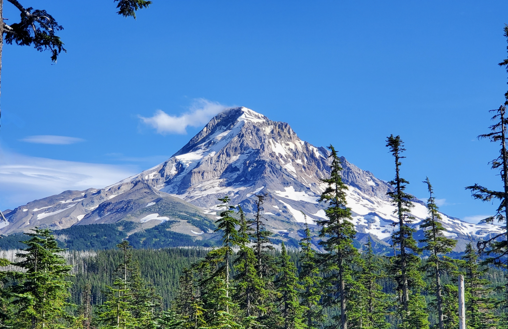 Coalition Letter to Senators Ron Wyden and Jeff Merkley Urges ...